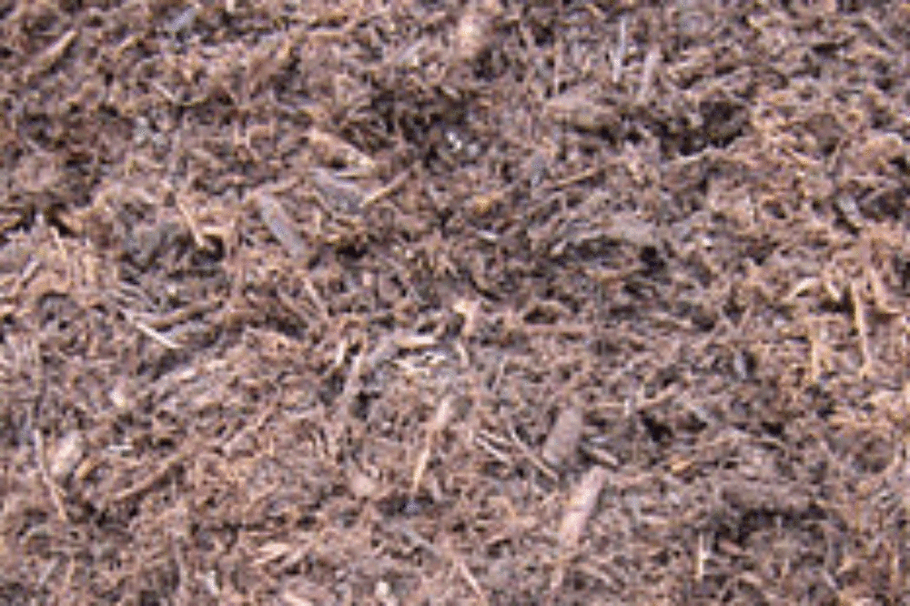 Home – Special – Mulch Life